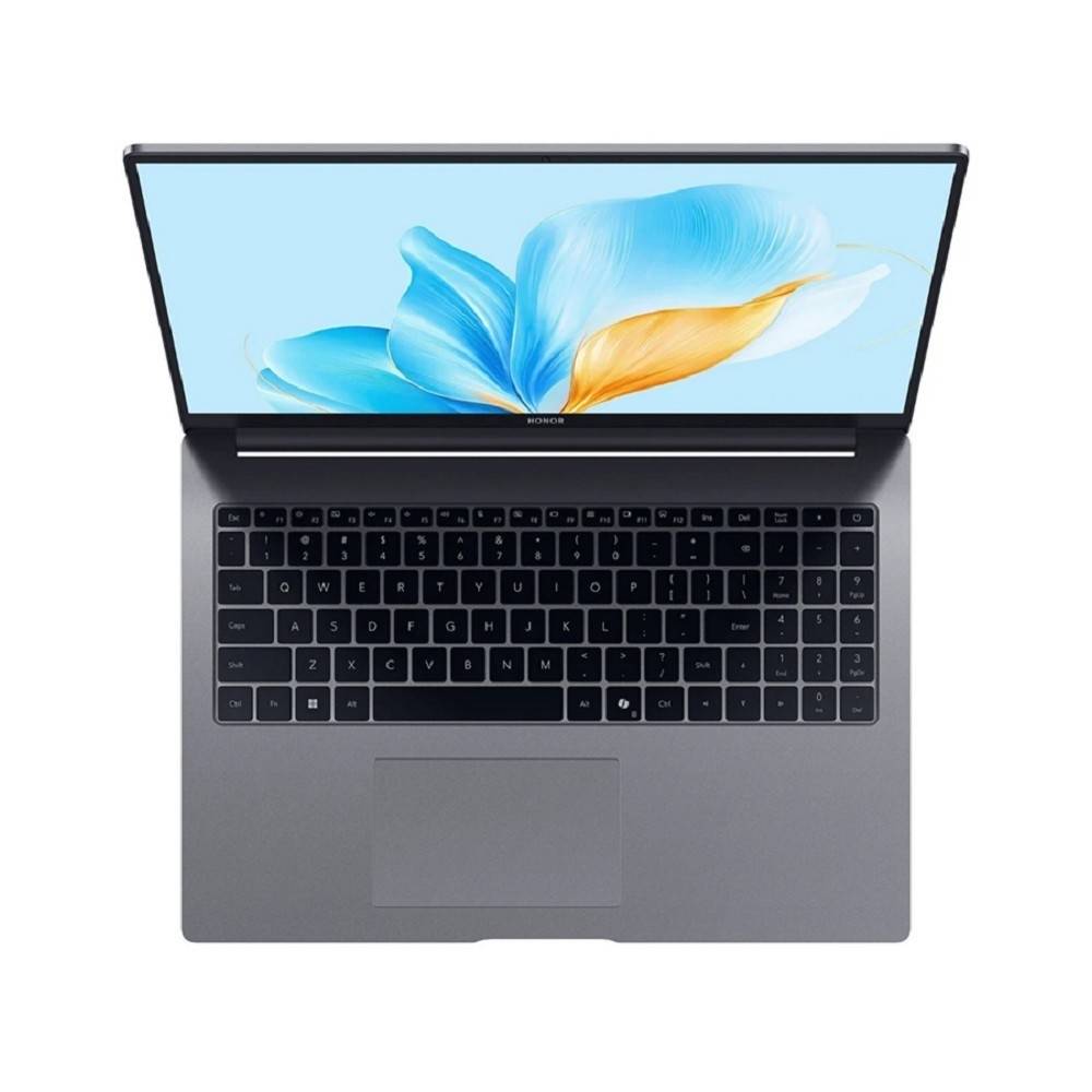 Ноутбук HONOR MagicBook X14 2025 FRG-X [5301ALXJ] Space Gray 14" {WUXGA ...